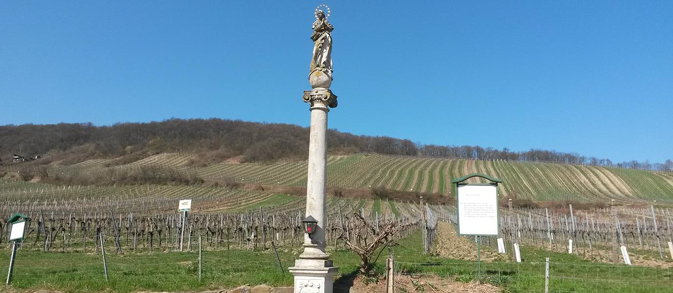 Neustift am Walde / Salmannsdorf | Wiener Wein